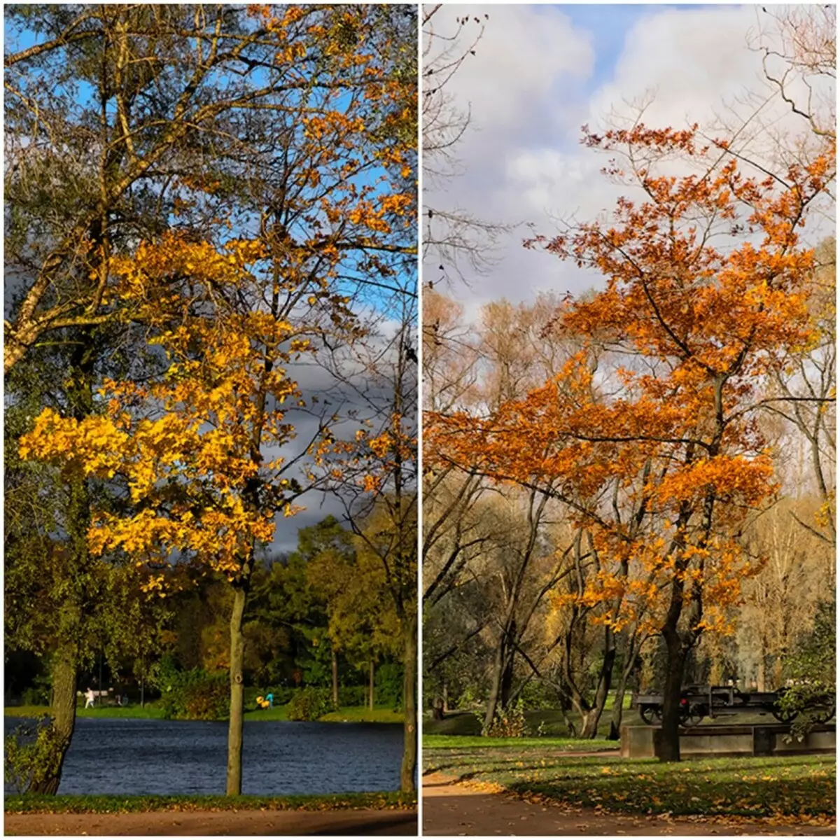 Pobjeda Gold Park-a u objektivu Oleg Kolobov (Oleg Kolobov) 8886_10