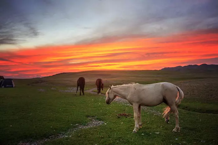 Kirgistani duhet të vizitojë çdo kostum foto: Zahariz Khuzaimah (Zahariz Khuzaimah) 8909_15