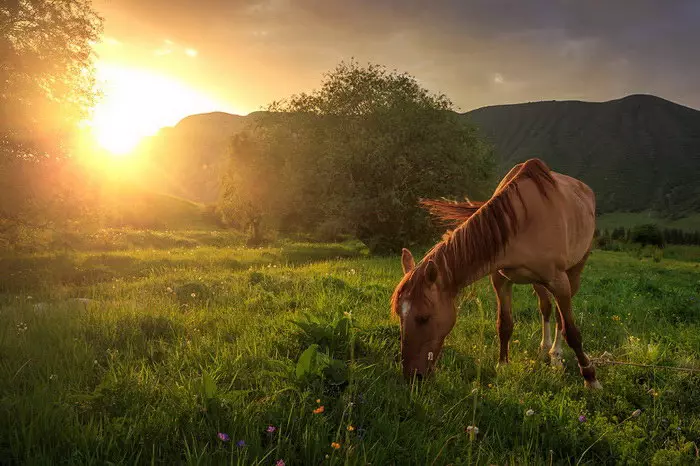 Kirgistani duhet të vizitojë çdo kostum foto: Zahariz Khuzaimah (Zahariz Khuzaimah) 8909_2