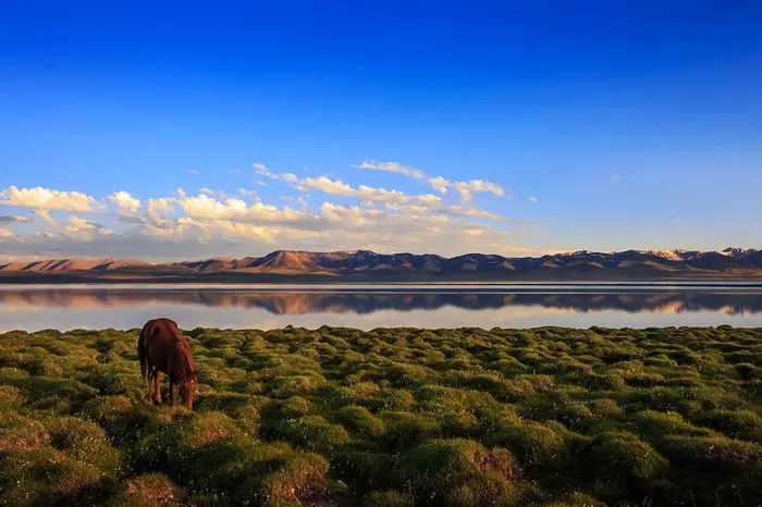 Kirgistani duhet të vizitojë çdo kostum foto: Zahariz Khuzaimah (Zahariz Khuzaimah) 8909_8