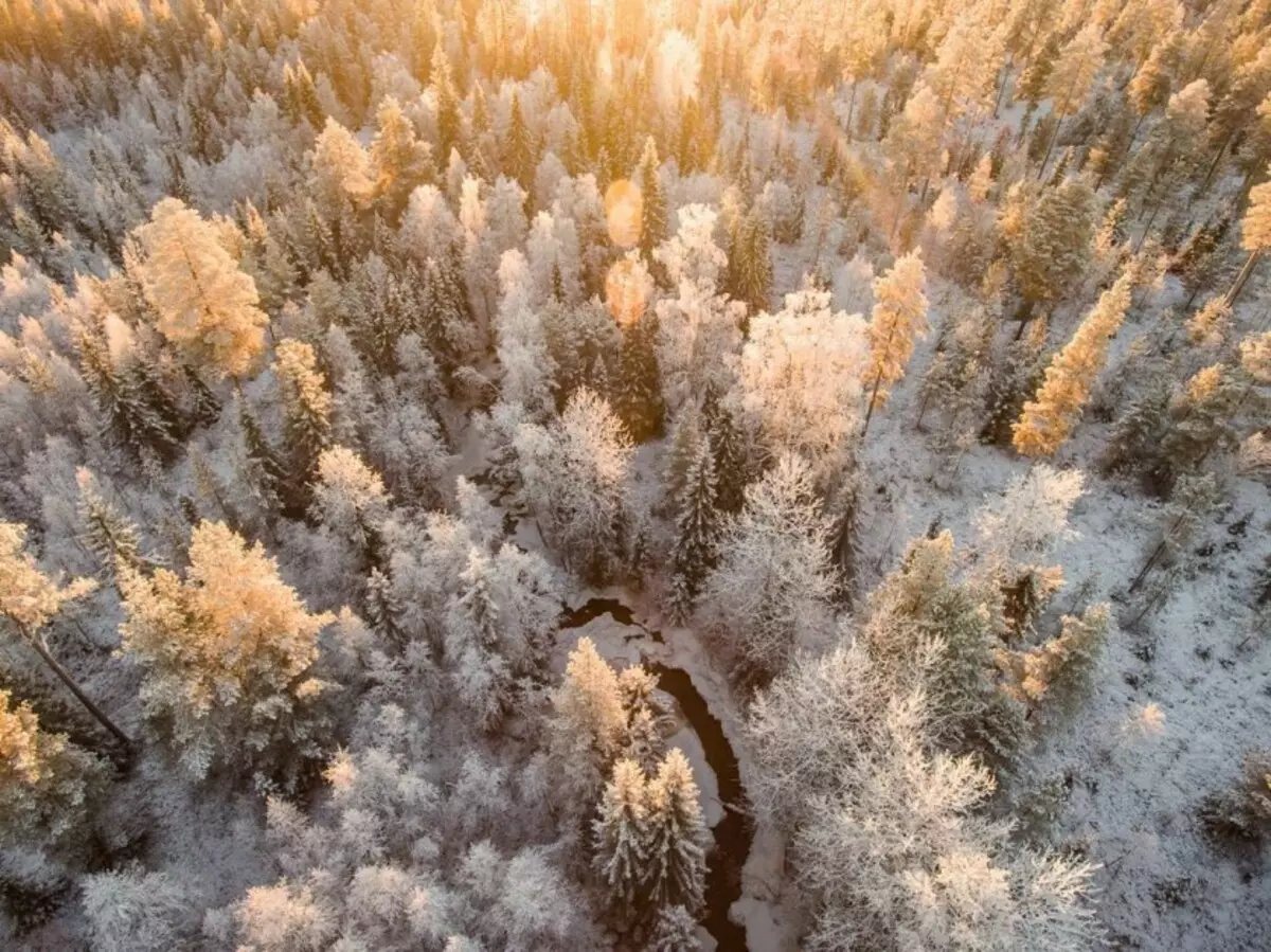 Lapland los ntawm qhov siab ... Tus yees duab Tyina törmänen (tiina törmänen) 8946_8