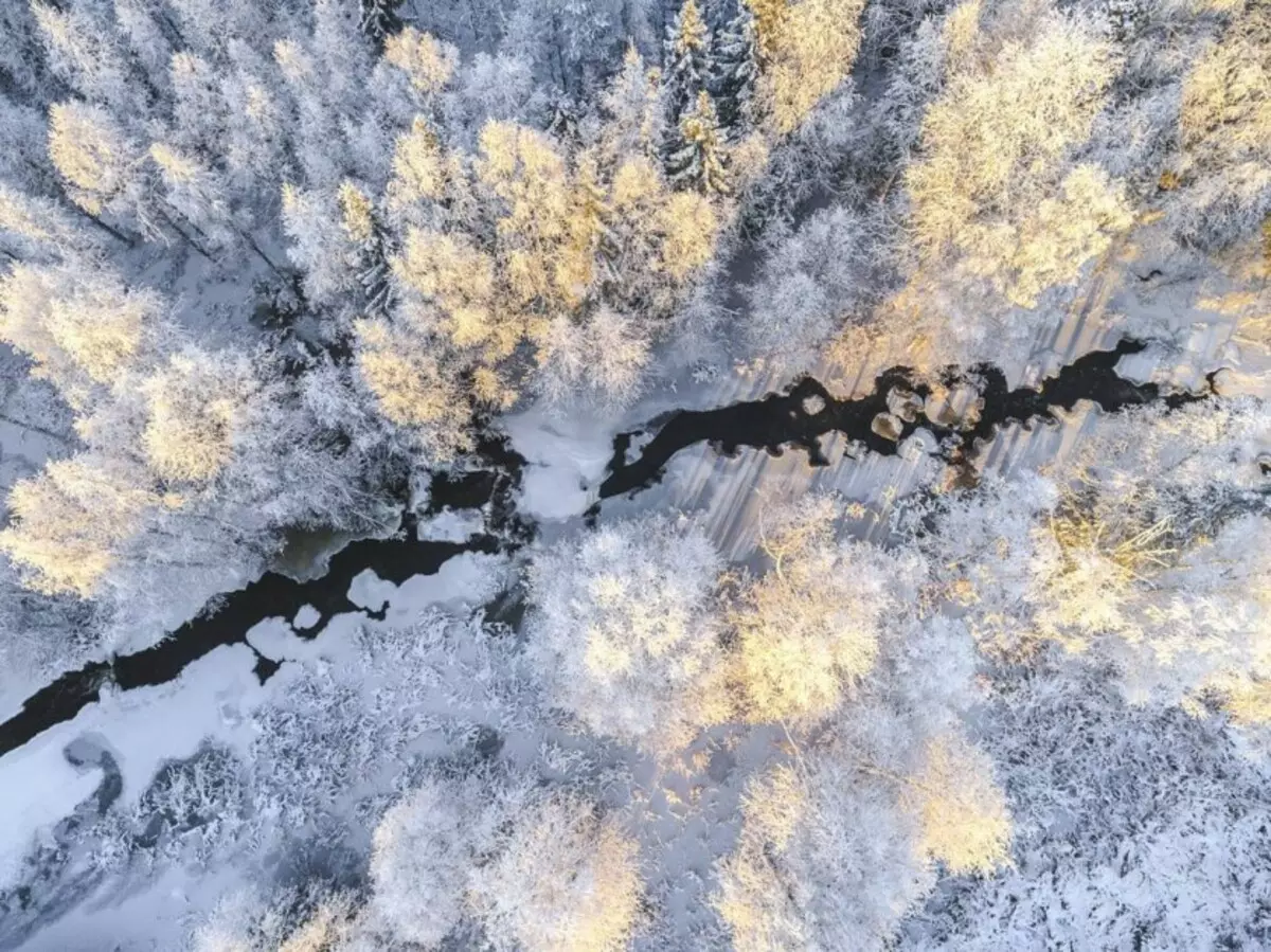 Lapônia de uma altura ... Fotógrafo Tyina Törmänen (Tiina Törmänen) 8946_9