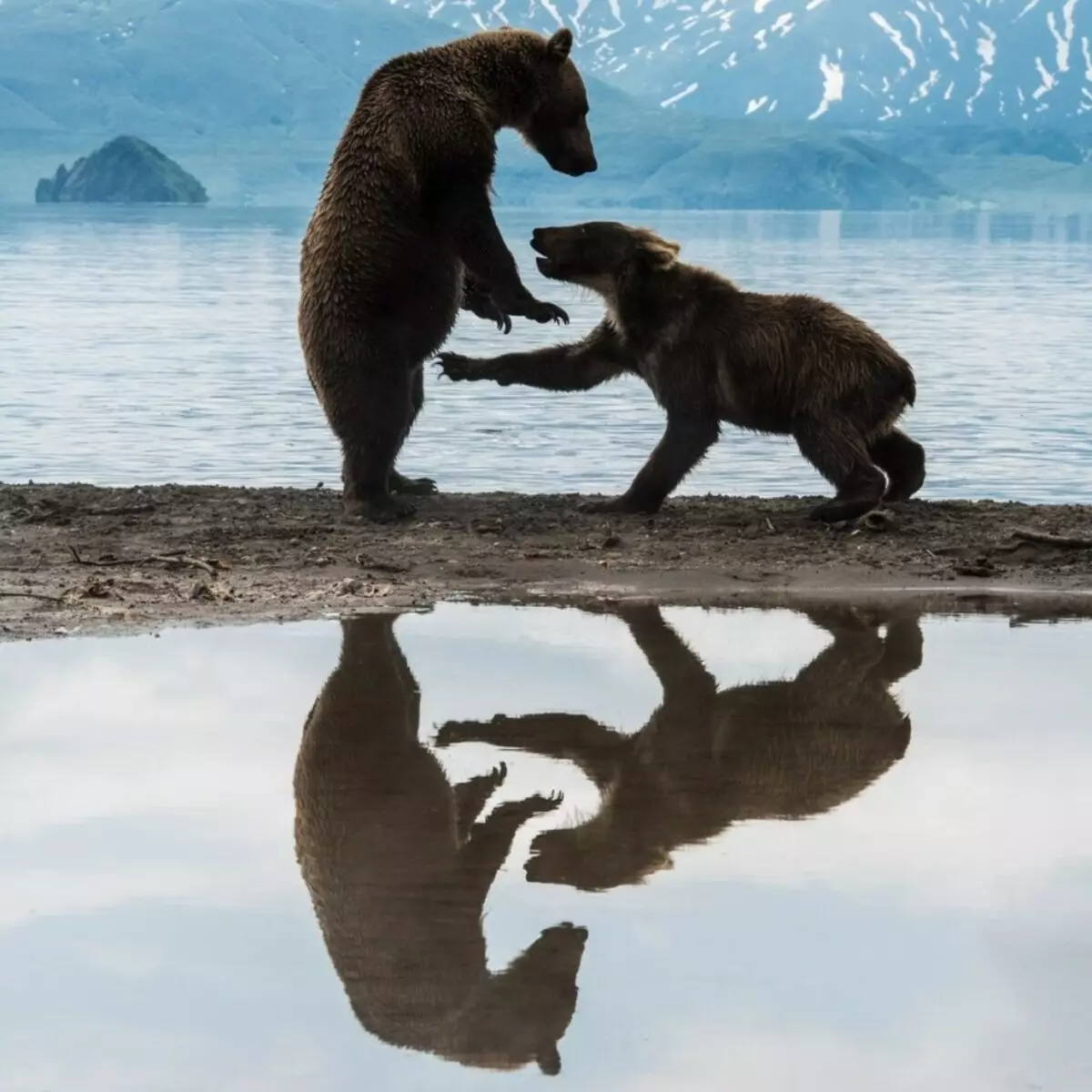 35AWARD: 2. Uluslararası Fotoğrafçı 