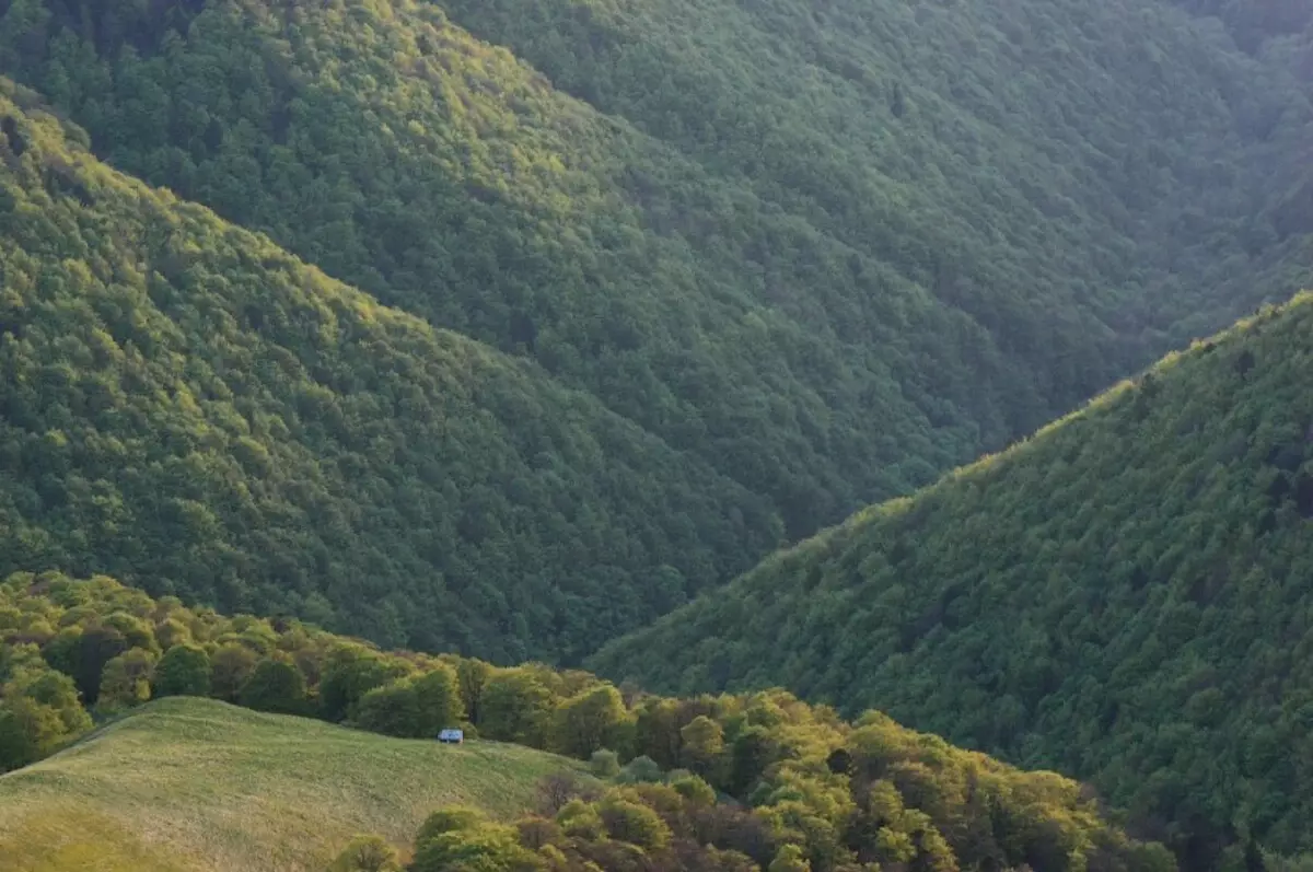 在山上，在云端之上......山西山东克多顿科镜头的Borzhava山数 9037_15