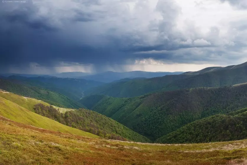 Yn 'e bergen, boppe de wolken ... Mountain Array fan Borzhava yn Alexander Kotenko-lens 9037_4