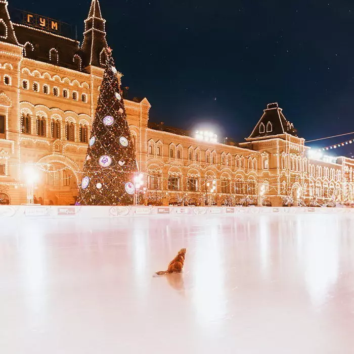 Москва по-особливому в фотографіях Христини Макєєвої 9041_6