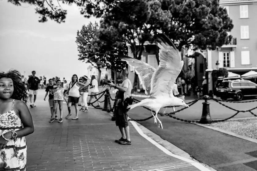 Снимки на улицата на лазурния бряг на фотографа Алена Новгород 9055_11