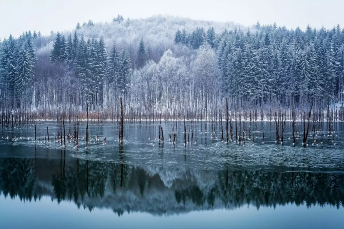 Las mejores fotos de National Geographic Noviembre 2016 9095_11