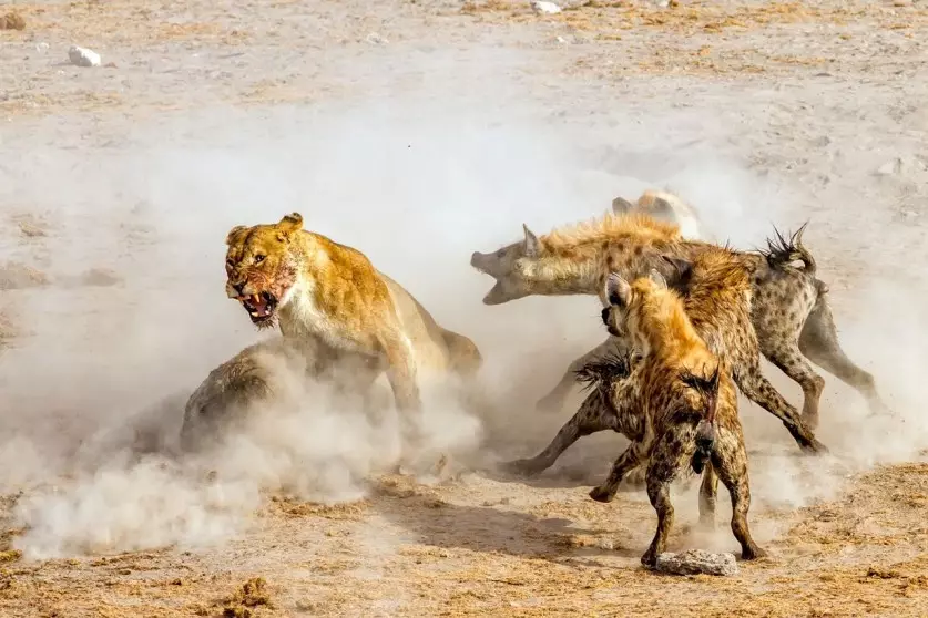 Las mejores fotos de National Geographic Noviembre 2016 9095_17