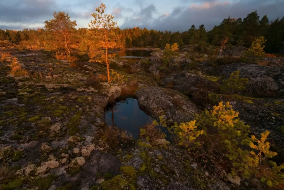 Ruhê bedewiyê, ruhê bakur !!! Ladoga li Lens Tony Andreva 9150_12