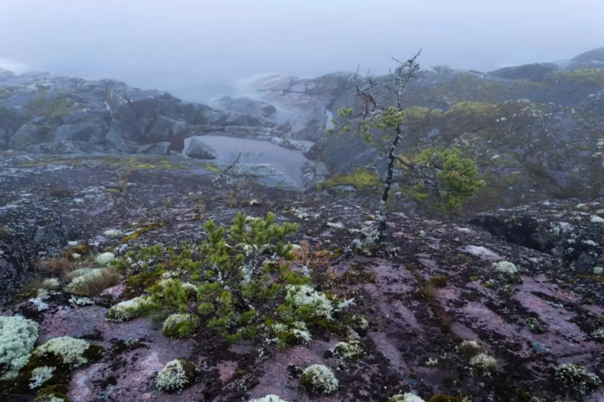 Ruhê bedewiyê, ruhê bakur !!! Ladoga li Lens Tony Andreva 9150_4