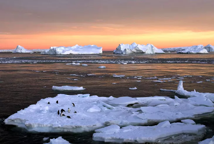 Ang wala maabtik nga katahum sa Marine Reserve sa Antarctica;) 9160_1