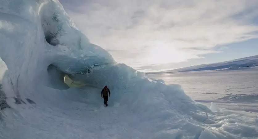 Ẹwa ti ko dara ti ifipamọ Marine ni Antarctica;) 9160_11