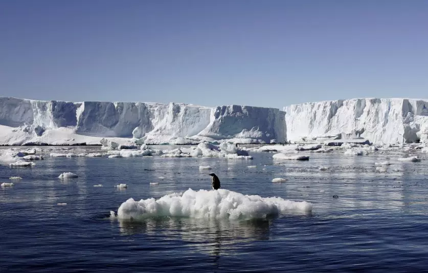 Ẹwa ti ko dara ti ifipamọ Marine ni Antarctica;) 9160_3