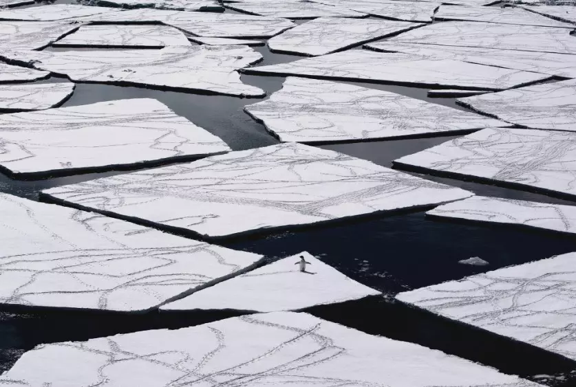 Ang wala maabtik nga katahum sa Marine Reserve sa Antarctica;) 9160_8