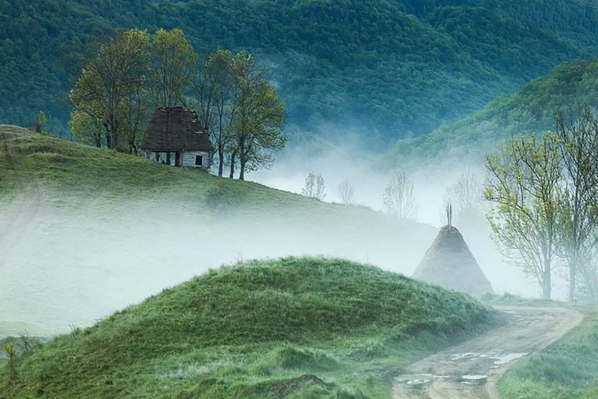 Hus liv ensomhed fjernhed natur