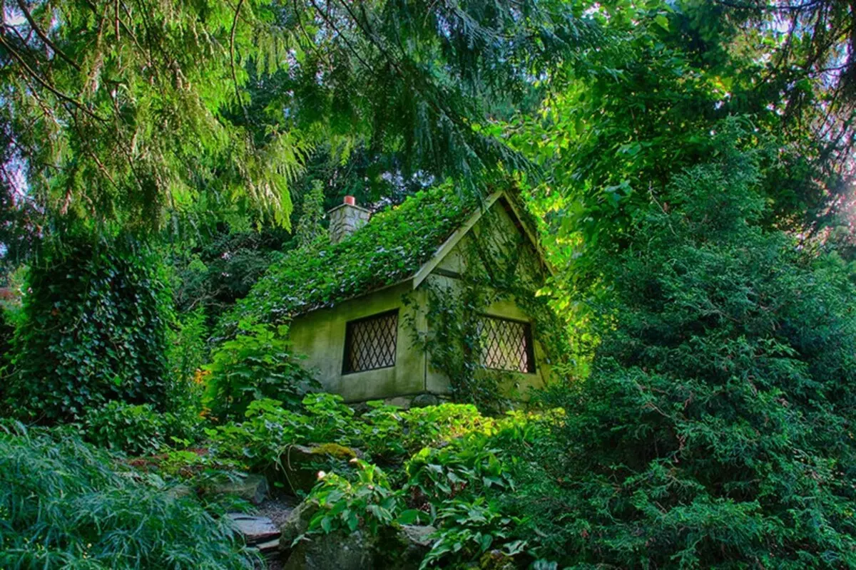 Hus liv ensomhed fjernhed natur