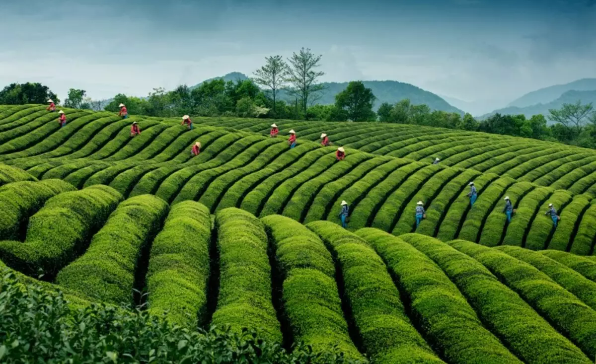 สิ่งสำคัญจากการแข่งขันการถ่ายภาพระหว่างประเทศ Siena International Photo Award (SIPA) 2016 9226_14