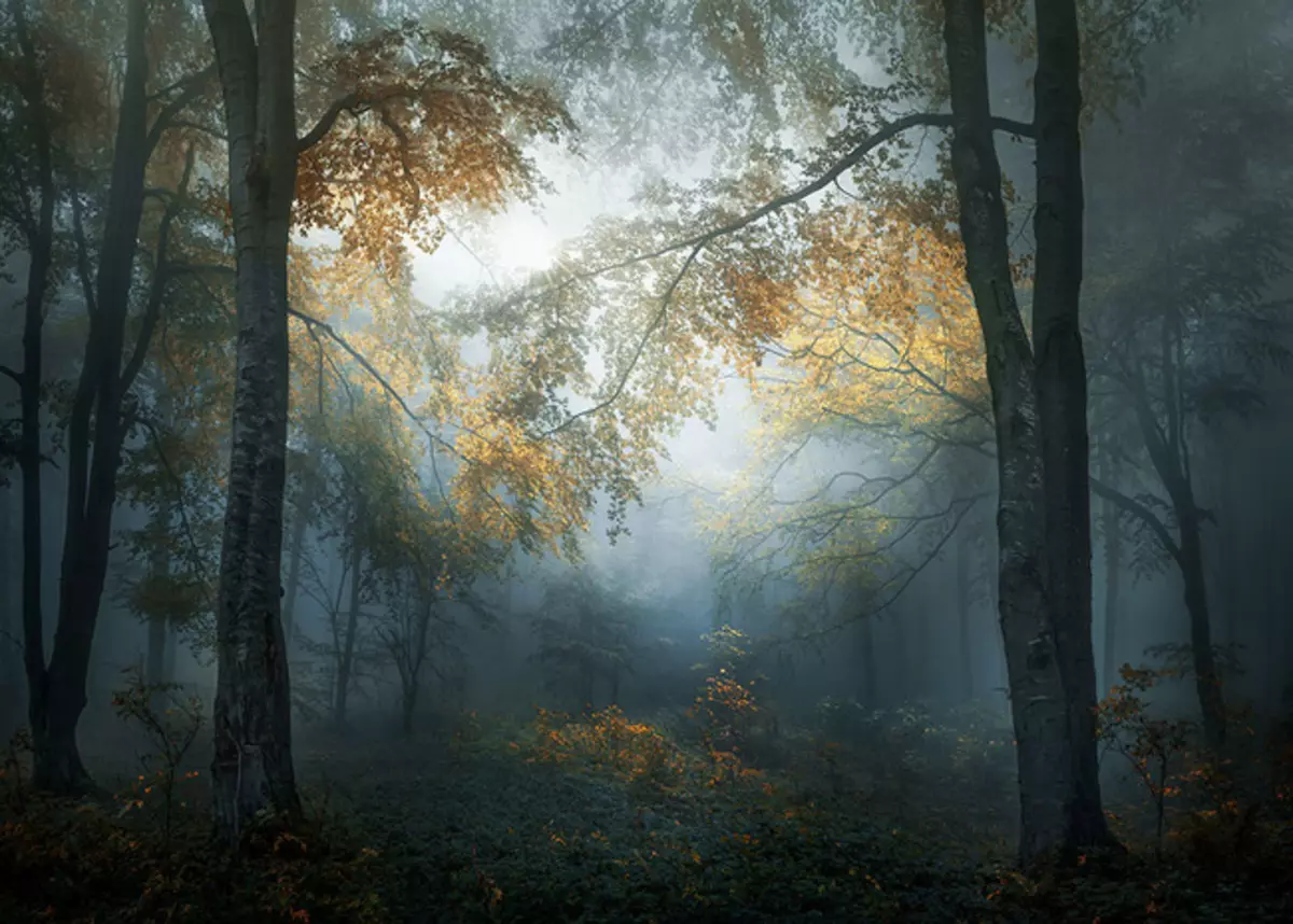 Geriausi nuotraukos planetos Žemės fotografija Fotografas Geriausi darbo reikmenys Konkursai