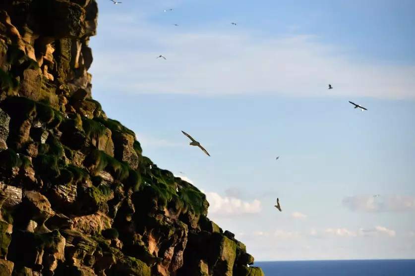 Fula - the most distant inhabitable island in the UK;) Photographer Jeff Mitchell (Jeff J Mitchell) 9387_9