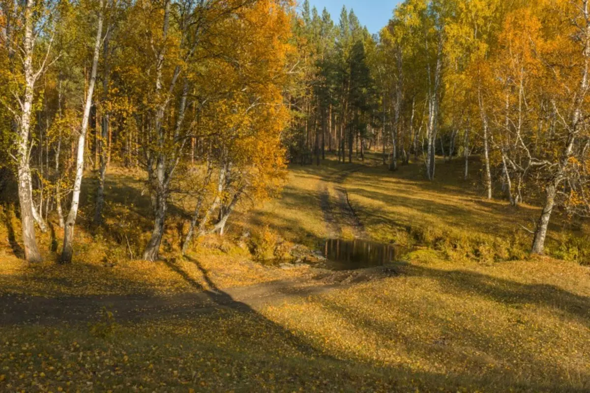 Golden Autumn;)) Lovely Myndir frá mismunandi ljósmyndara 9437_10