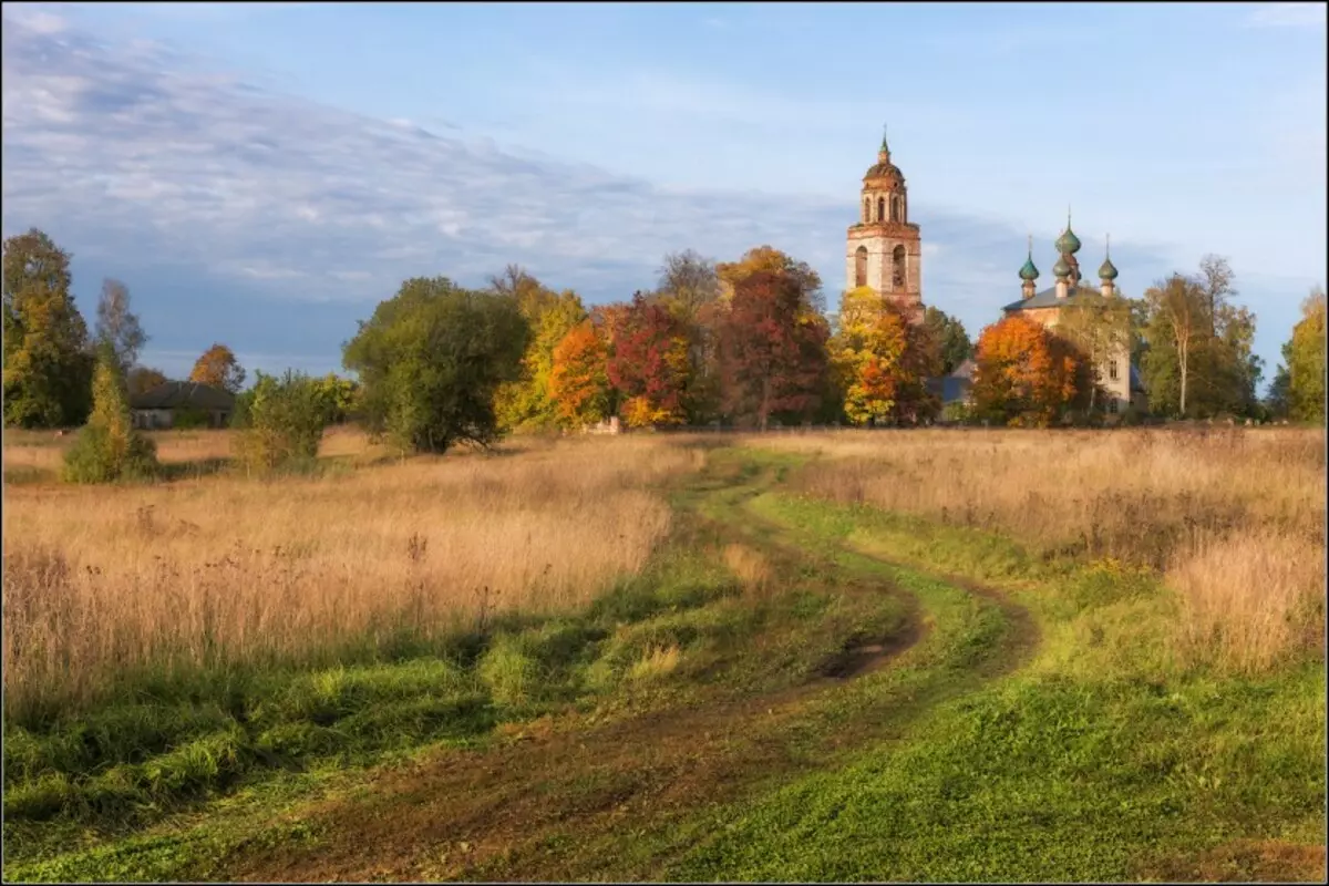 Golden autumn;)) Lovely pictures from different photographers 9437_12