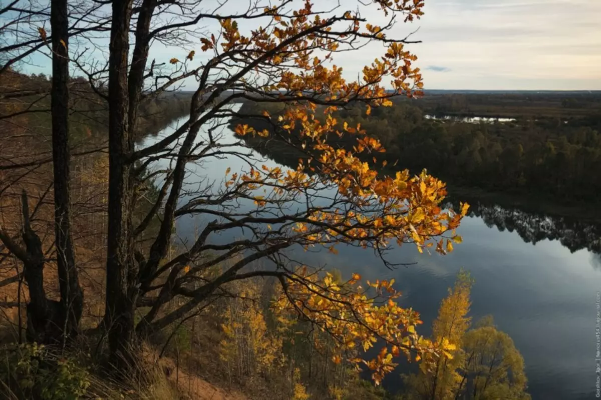 Златна есен;)) Прекрасни слики од различни фотографи 9437_4