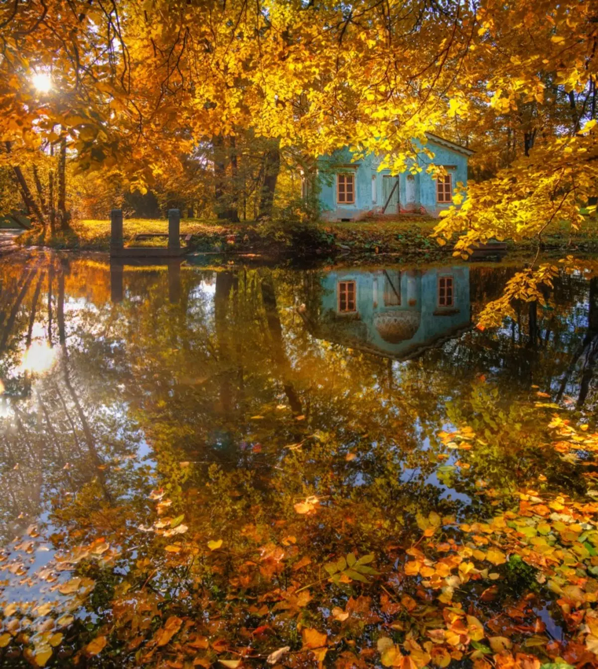 Golden autumn;)) Lovely pictures from different photographers 9437_5