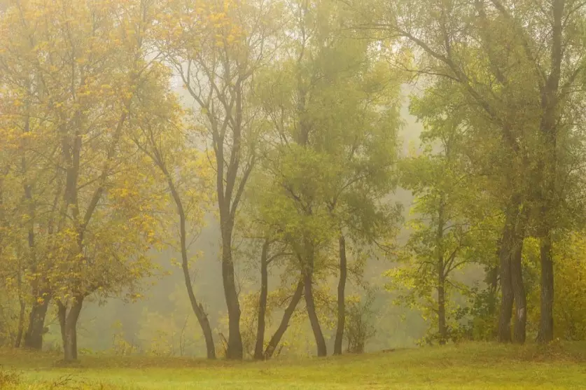 Gouden herfst;)) Mooie foto's van verschillende fotografen 9437_9