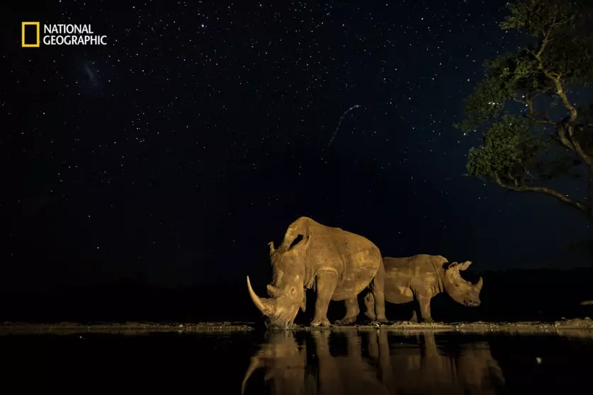 Sipas lexuesve;) Fotot më interesante të National Geographic 2016 9524_13