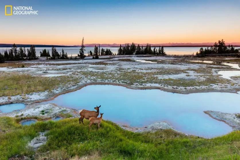 Sipas lexuesve;) Fotot më interesante të National Geographic 2016 9524_4