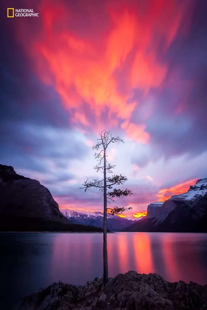 Sipas lexuesve;) Fotot më interesante të National Geographic 2016 9524_5