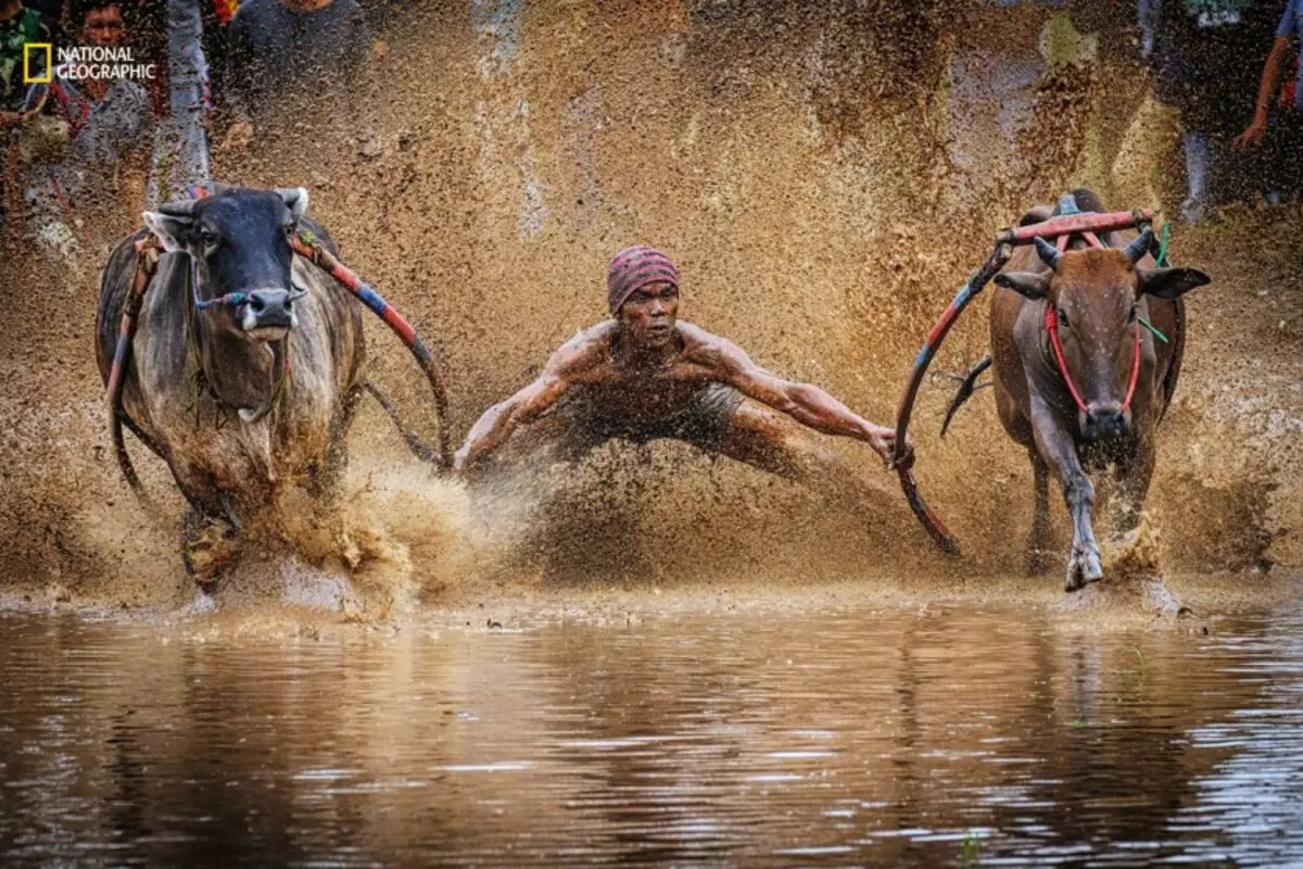 Samkvæmt lesendum;) áhugaverðustu myndirnar af National Geographic 2016 9524_9