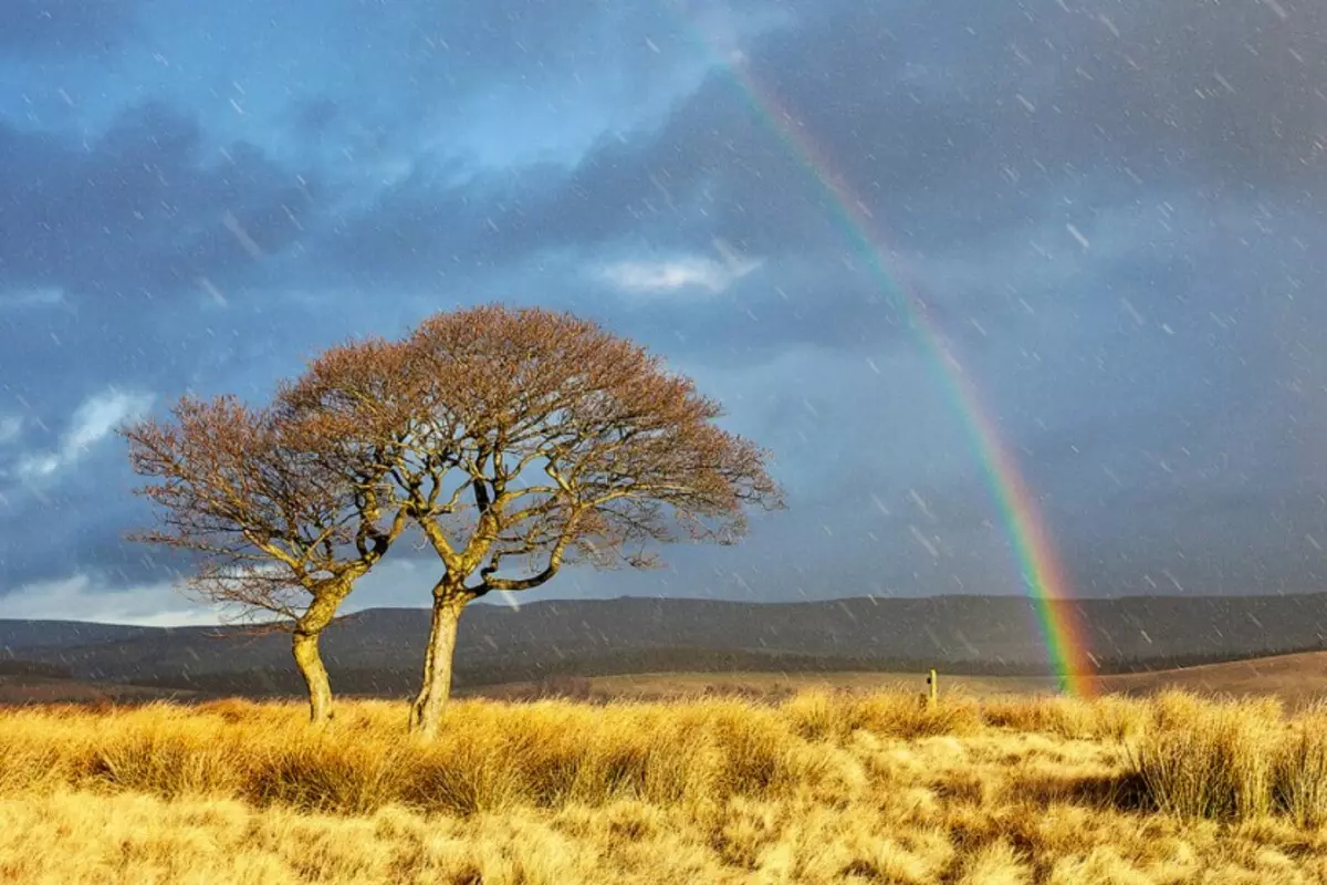 Beth sy'n gallu natur;) Tywydd Ffotograffydd 2016 (Y Tywydd Ffotograffydd 2016) 9539_13