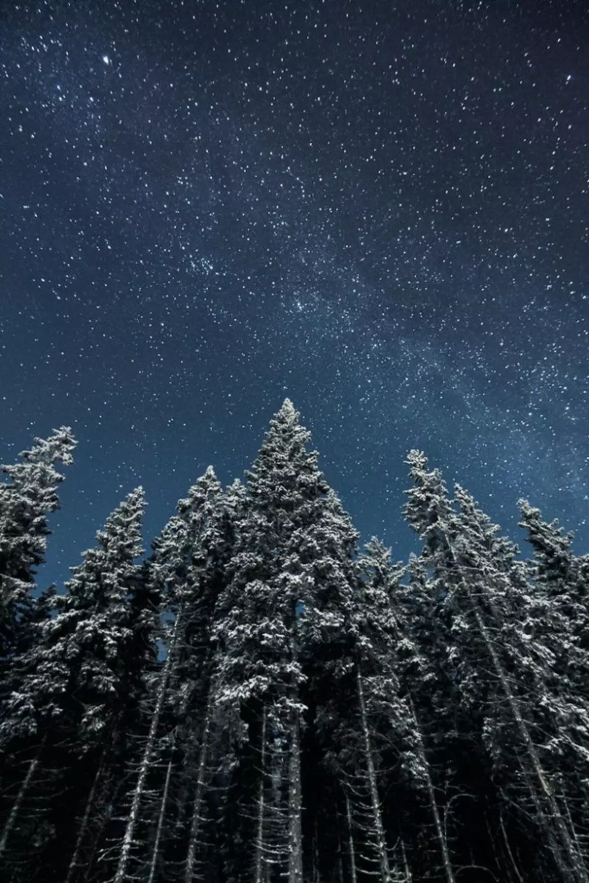 Starry Sky un pīrsings Klusums ap ... Somija lēcā Mikko Lagerstedt (Mikko Lagerstedt) 9574_4