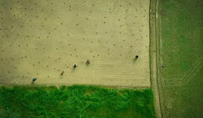 Aerofotografioj Bangladeŝo de Shamim Shorif Susom (Shamim Shorif Sustaom) 9593_5