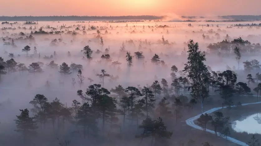 Latvian Forest Miracle;) Kemeric National Park in the lens 9649_1