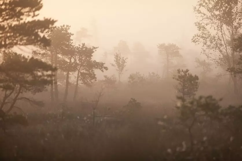 Keajaiban hutan Latvia;) Taman Negara Kemerik di kanta 9649_2