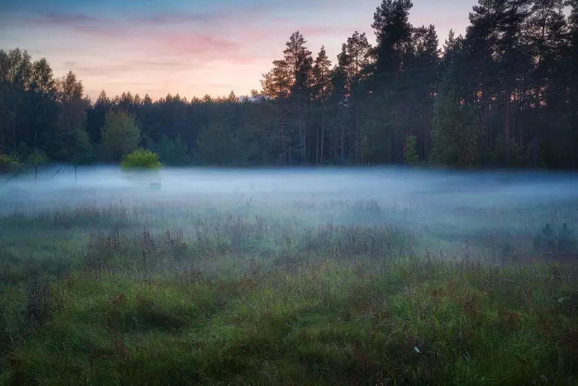 Latvian Forest Miracle;) Kemeric National Park in the lens 9649_5