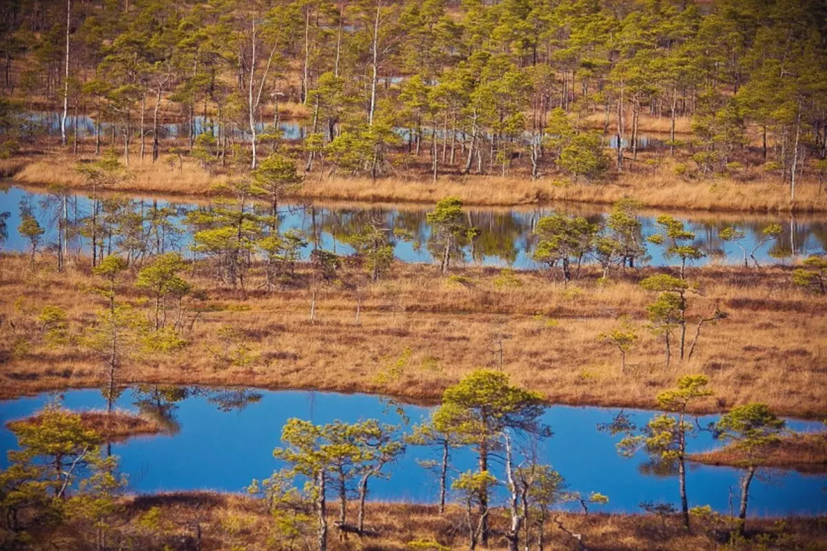 Keajaiban hutan Latvia;) Taman Negara Kemerik di kanta 9649_8