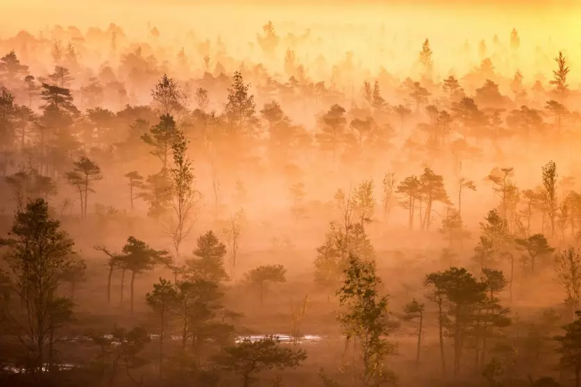 Latvian Forest Miracle;) Kemeric National Park in the lens 9649_9