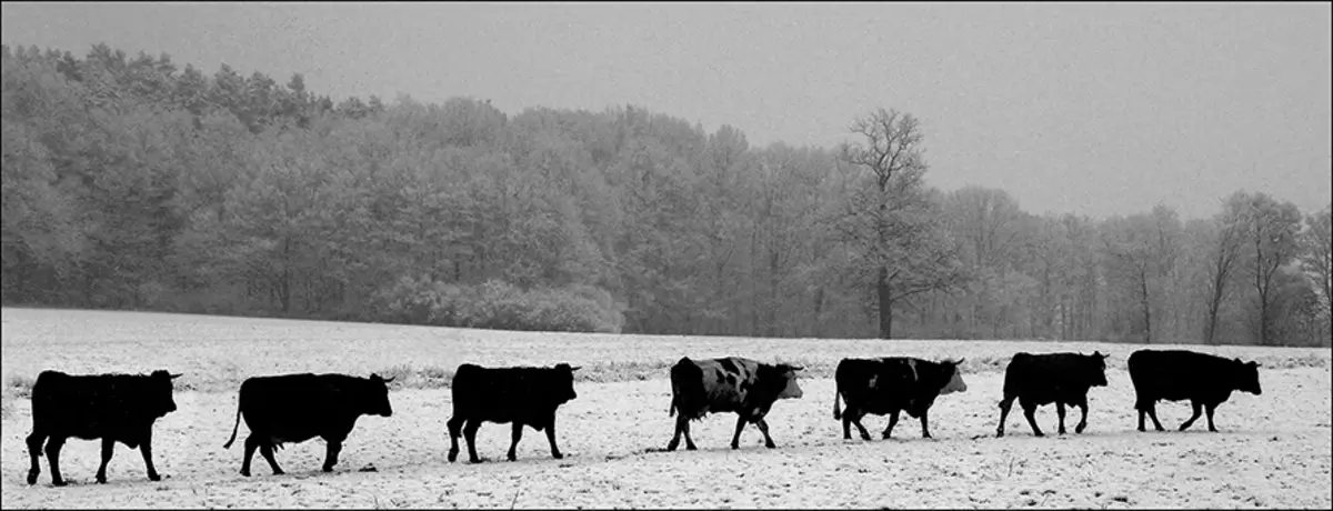 Fotograf Vladimir Rolov 74