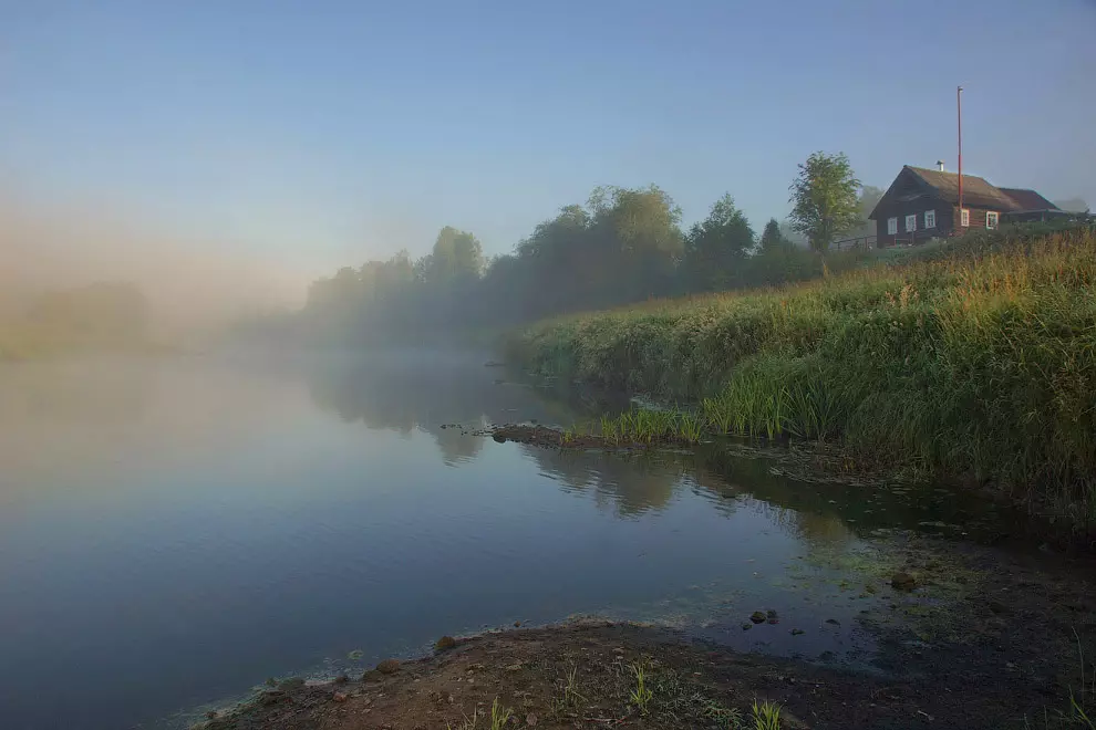 Forêt vecsiane