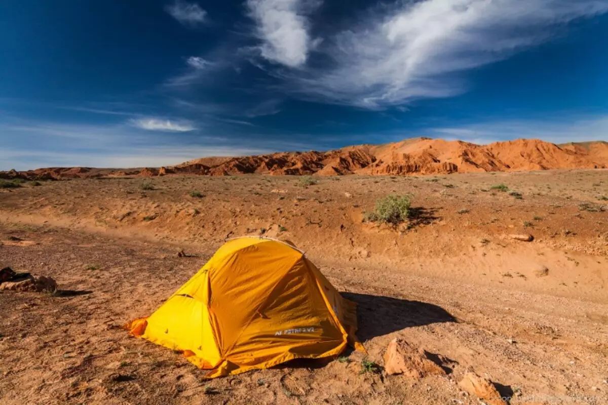 Ho kenya Dawn le sengoathoana sa bosiu ba lehoatata la Gobi. Setšoantšo sa setšoantšo sa Anton Petrus 9837_19