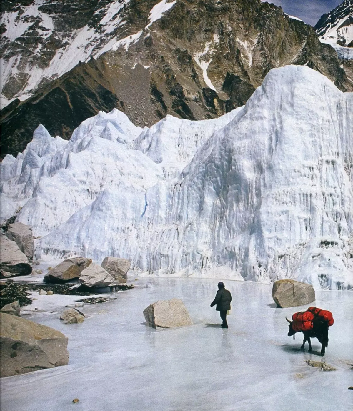 Fotografii National Geographic 50