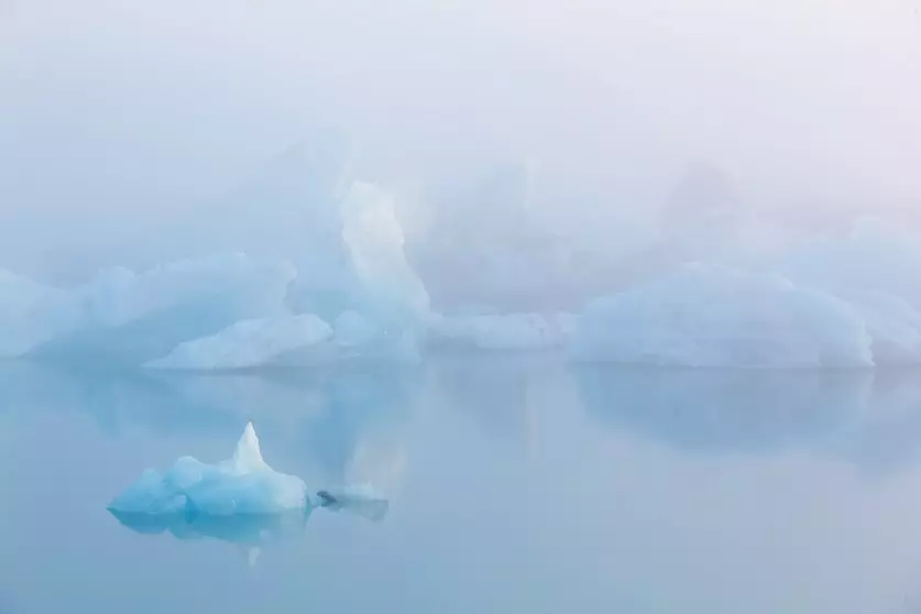 How to shoot fog ... photographer Dmitry Pitenin 9867_3