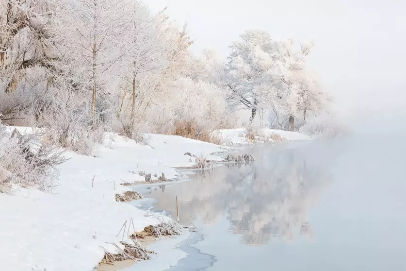 Ako strieľať hmly ... Fotograf dmitry pitenin 9867_7