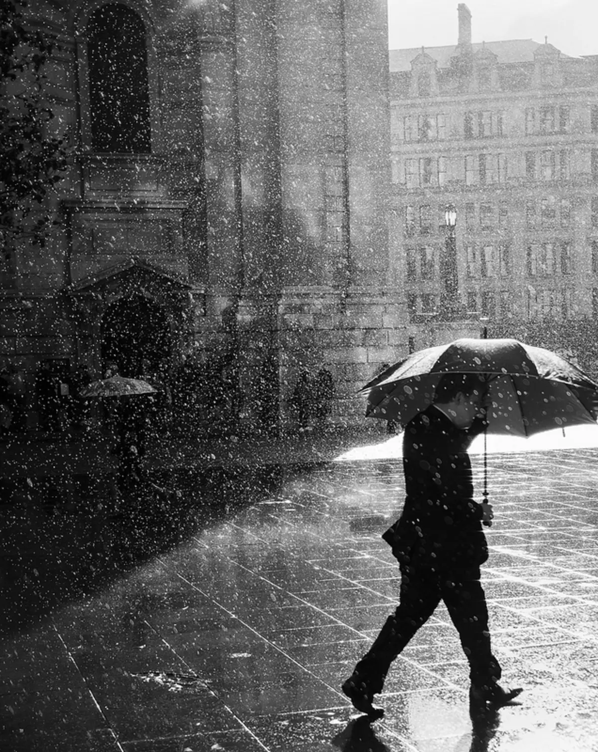 Rupert Vandervell'in çalışmalarında eğlence sokak felsefesi (Rupert Vandervell, İngiltere) 9875_2