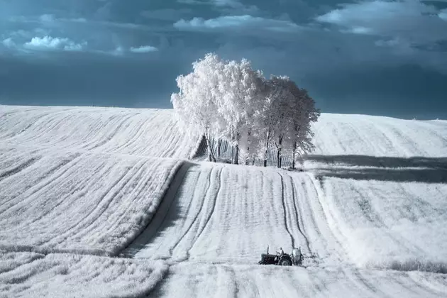 Hell Infrared Landschaftsprämpfe PRZEMSLAW Kruk (PRZEMSLOW Kruk) 9895_2