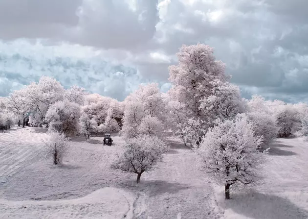 ພູມສັນຖານ Infrared ທີ່ສົດໃສ Przemsylaw Kruk (Przemmyslaw Kruk) 9895_3